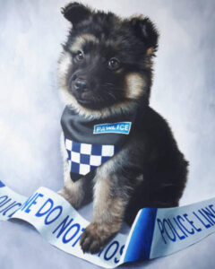 Carl Jones Pet Portraits - Artist based near The Cotswolds