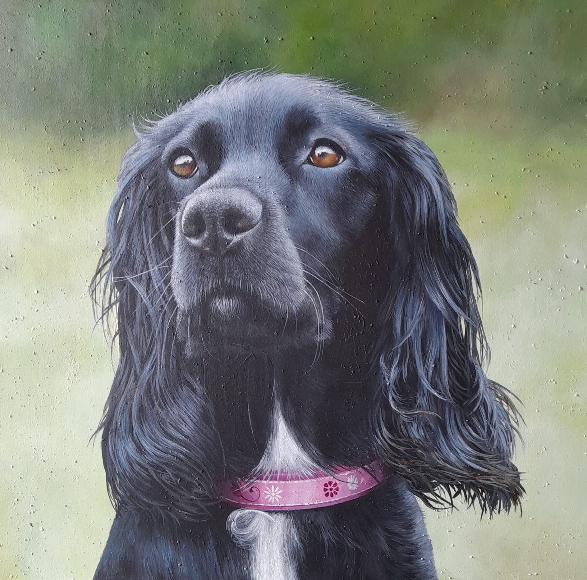 Poppy – Carl Jones Pet Portraits